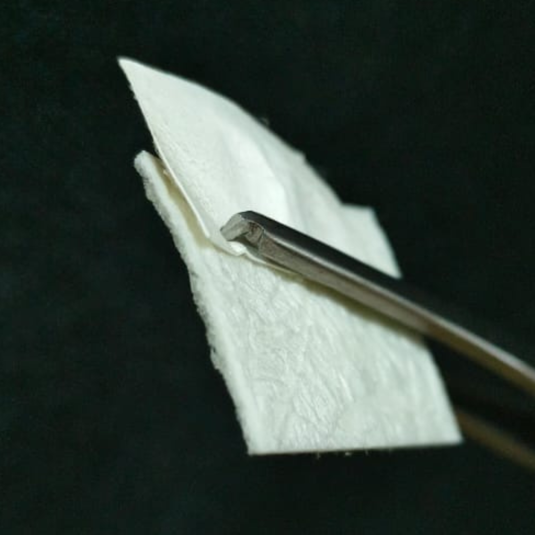 Fix Gide Gtr Membrane – Synerheal Pharmaceuticals